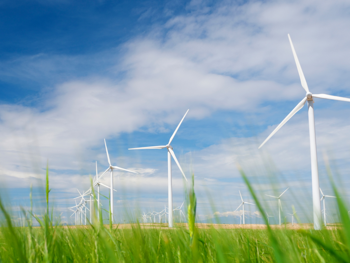 Interview mit Jonas Holtz, JES.GREEN, zur neuen Anleihe | Umweltfinanz